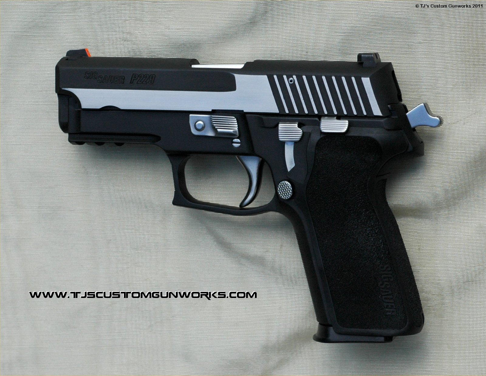 Custom Sig Sauer E2 P229 Equinox .357 SIG