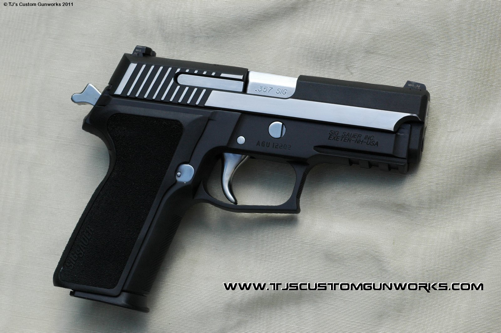 Custom Sig Sauer E2 P229 Equinox .357 SIG